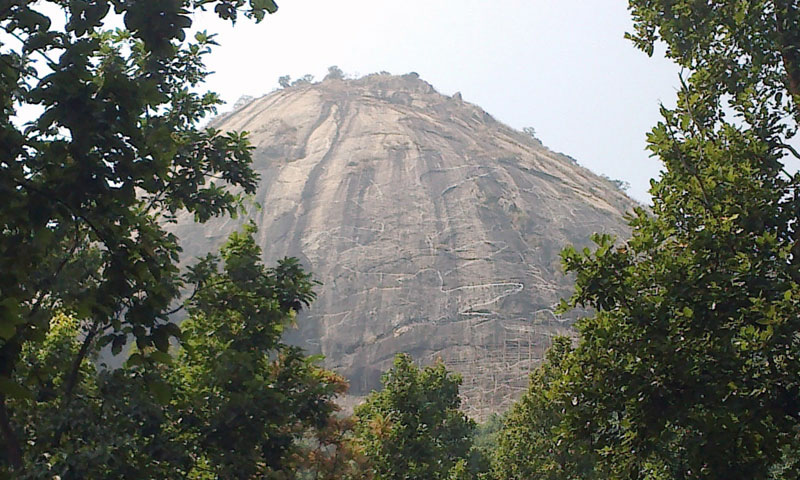 Local Activities - Palashgram Eco Resort